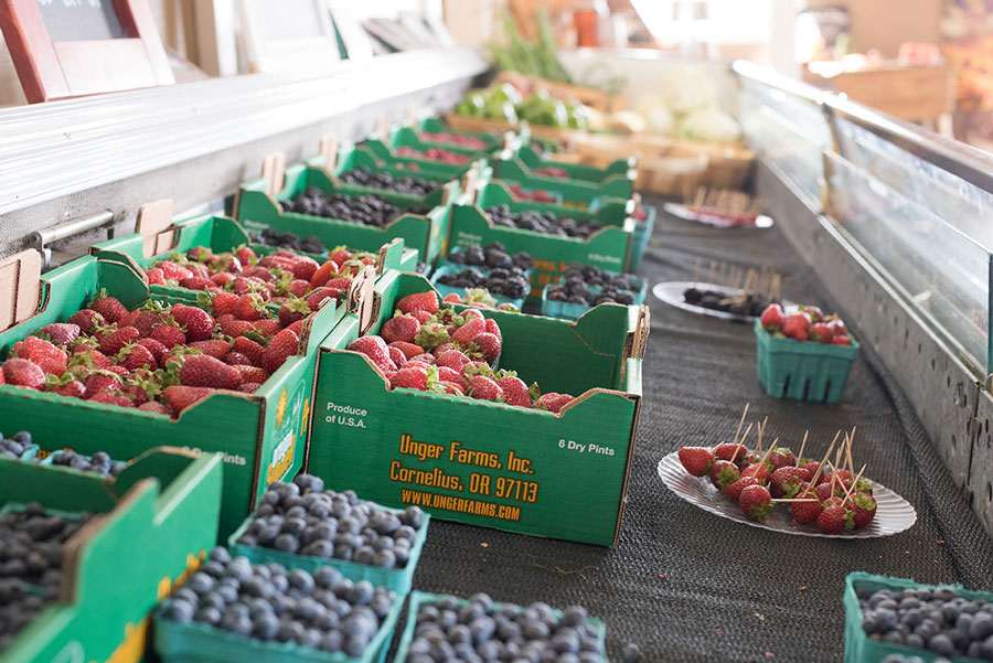 Regional Food Systems | Columbia Pacific | Oregon